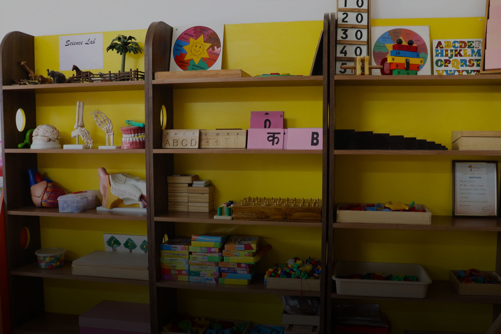 Community Service - Natraj Juniors